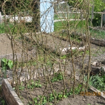 Plant Supports and Pergolas - John Waller, Underwoodsman
